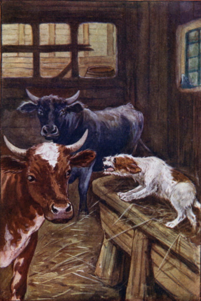 Aesop's Fables: The Dog in the Manger (colour litho)