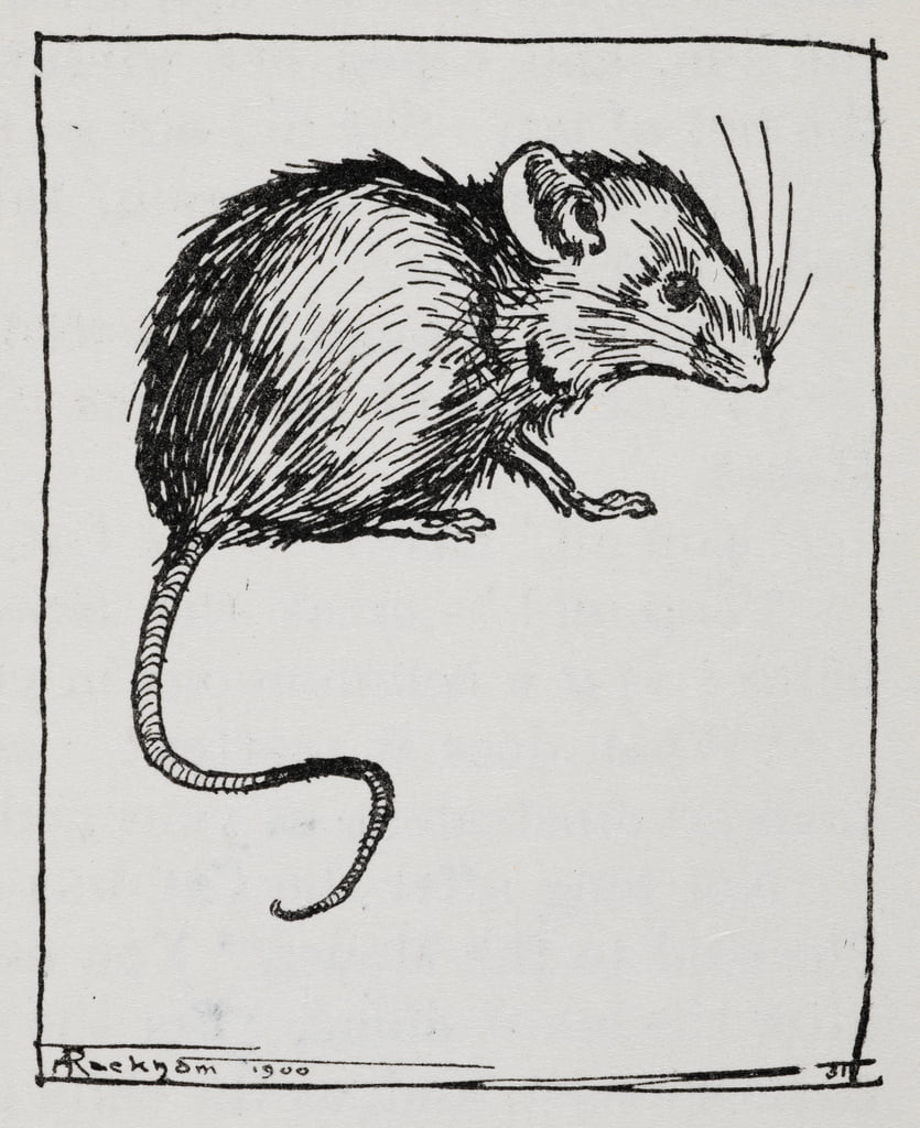 A mouse by Arthur Rackham: Highest-quality art reproduction