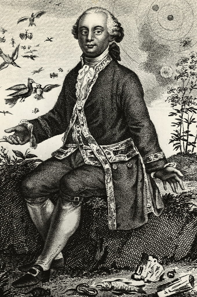 Portrait of Georges-Louis Leclerc de Buffon (1707-1788), French ...