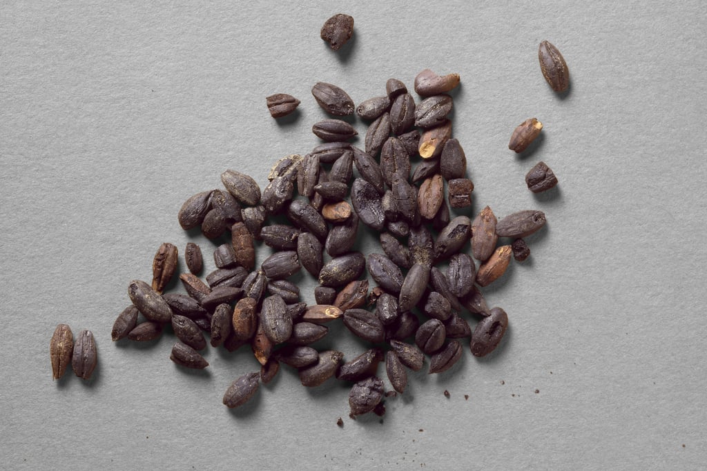 Husks of Emmer, from Fayum by Egyptian: Buy fine art print