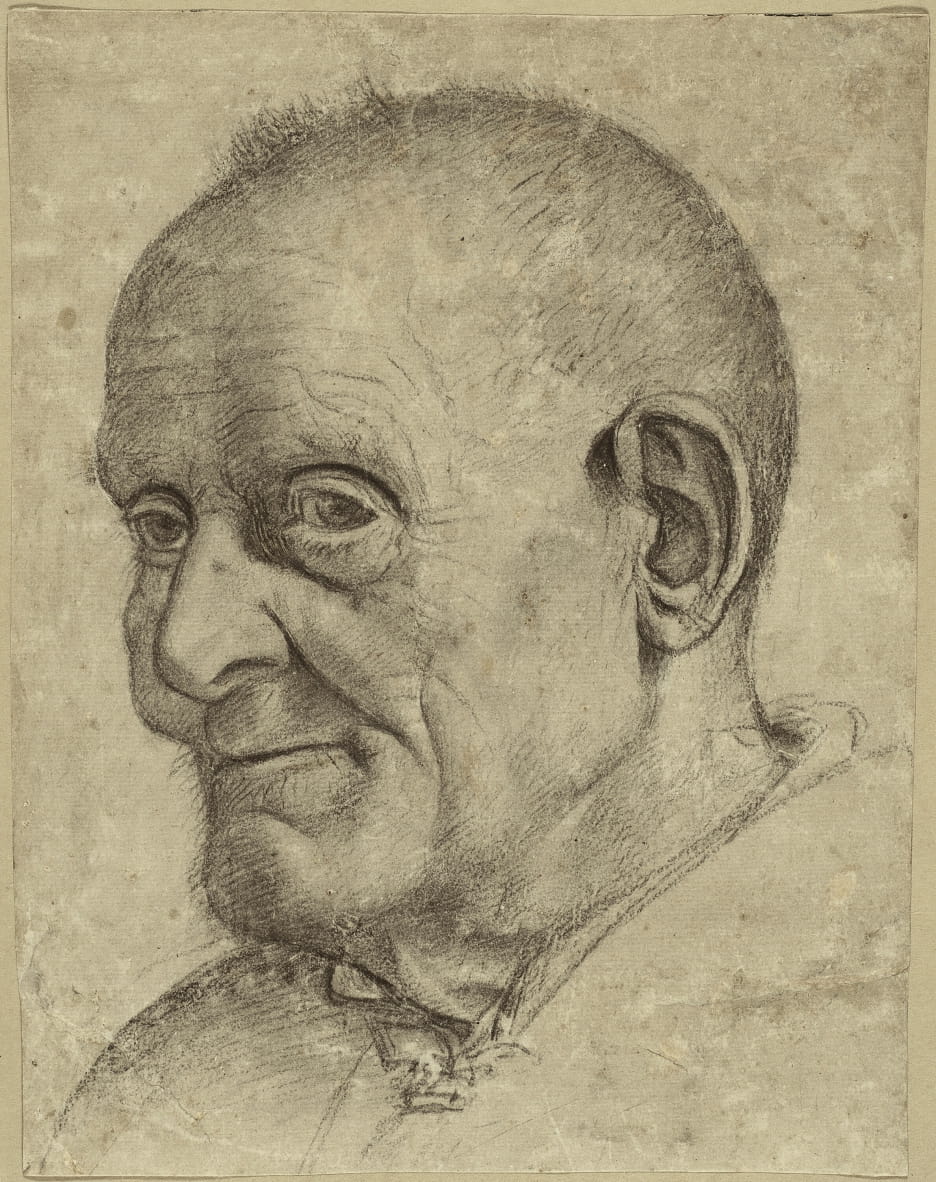 Portrait of an Old Man by Francesco Bonsignori
