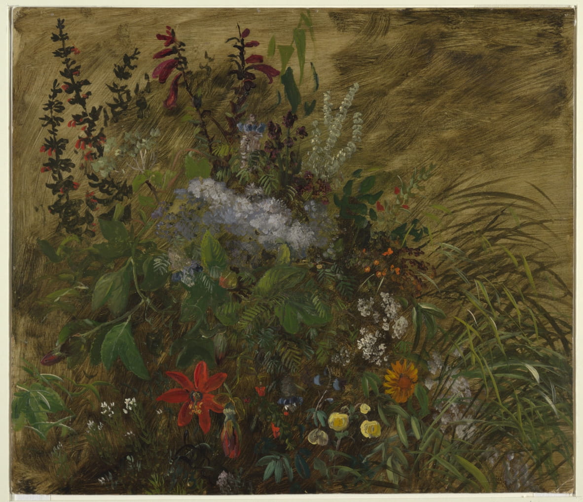 Flowers in Jamaica by Frederic Edwin Church