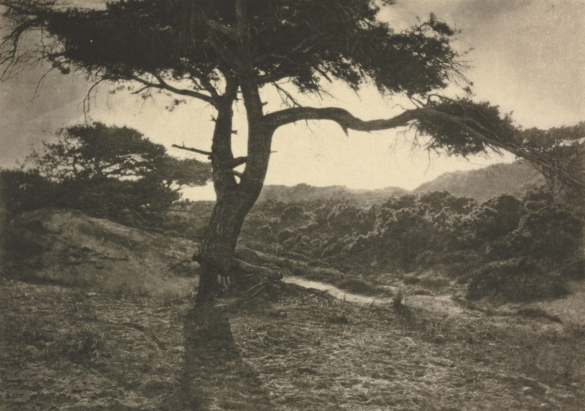 Camera Work: The Long Arm by George Davison