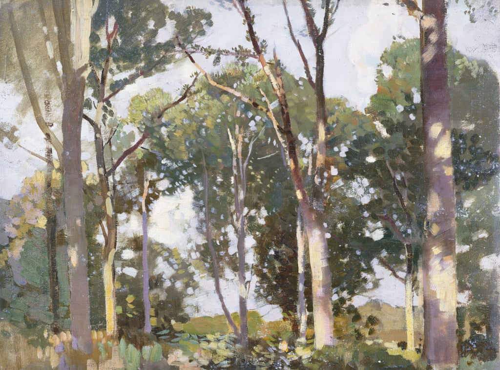 Trees in sunlight (panel) by Harry Watson: Fine art print