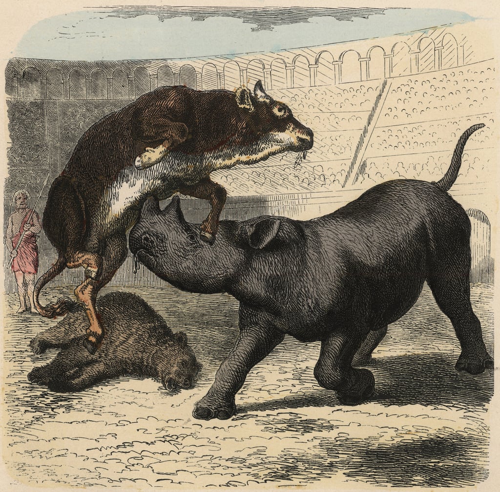 Ancient Rome: Animals fighting in the amphitheatre