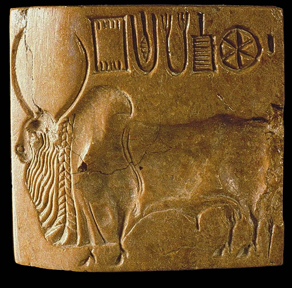 Zebu Bull Seal with Indus Script Found at Mohenjo Daro, Indus Valley ...