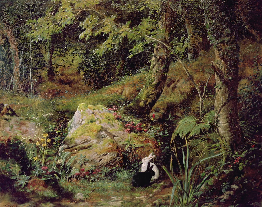 Stray rabbits by James Collinson: Buy fine art print