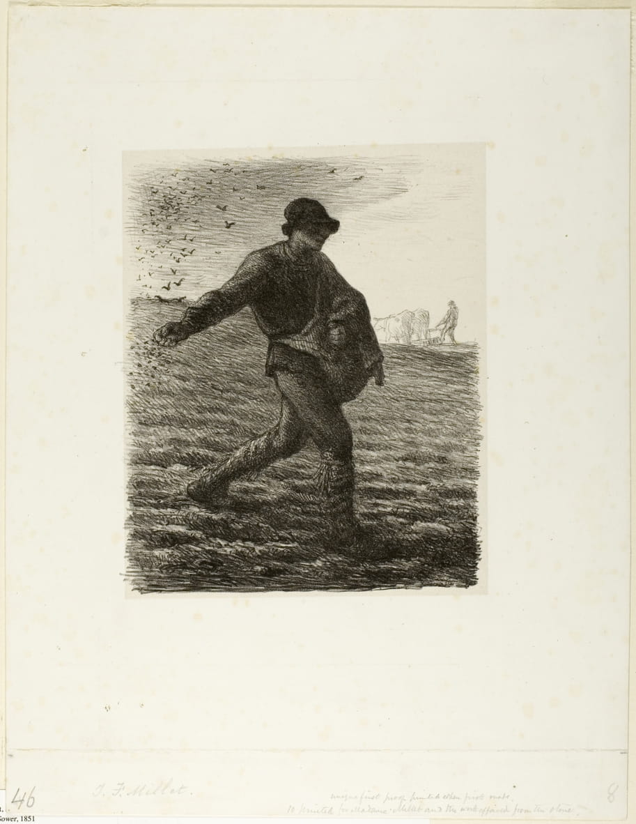 The Sower by Jean Francois Millet: Buy fine art print