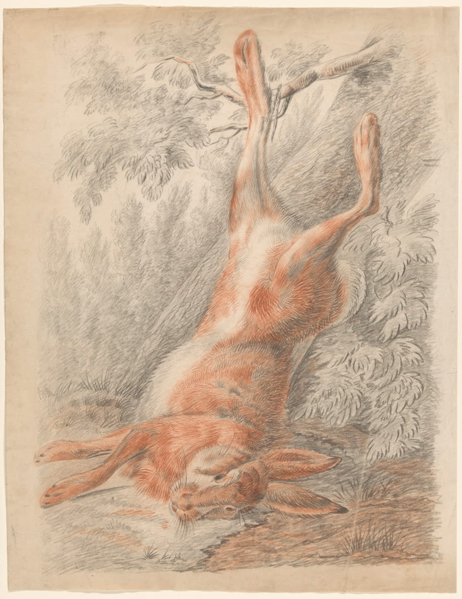 Dead hare, hanging by a paw by Johannes Tavenraat