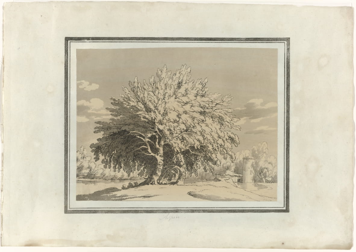 Aspin by John Robert Cozens: High-quality fine art print