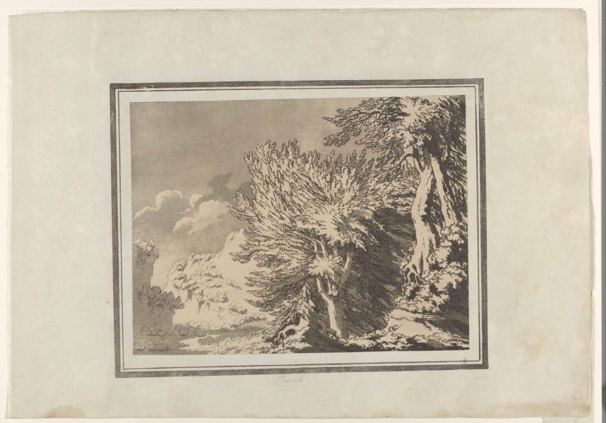 Beech by John Robert Cozens: High-quality fine art print