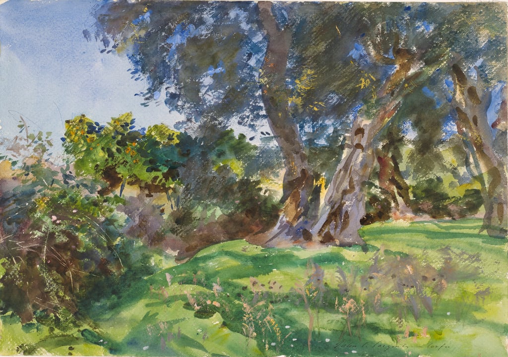 Olive Trees, Corfu by John Singer Sargent (#824013)