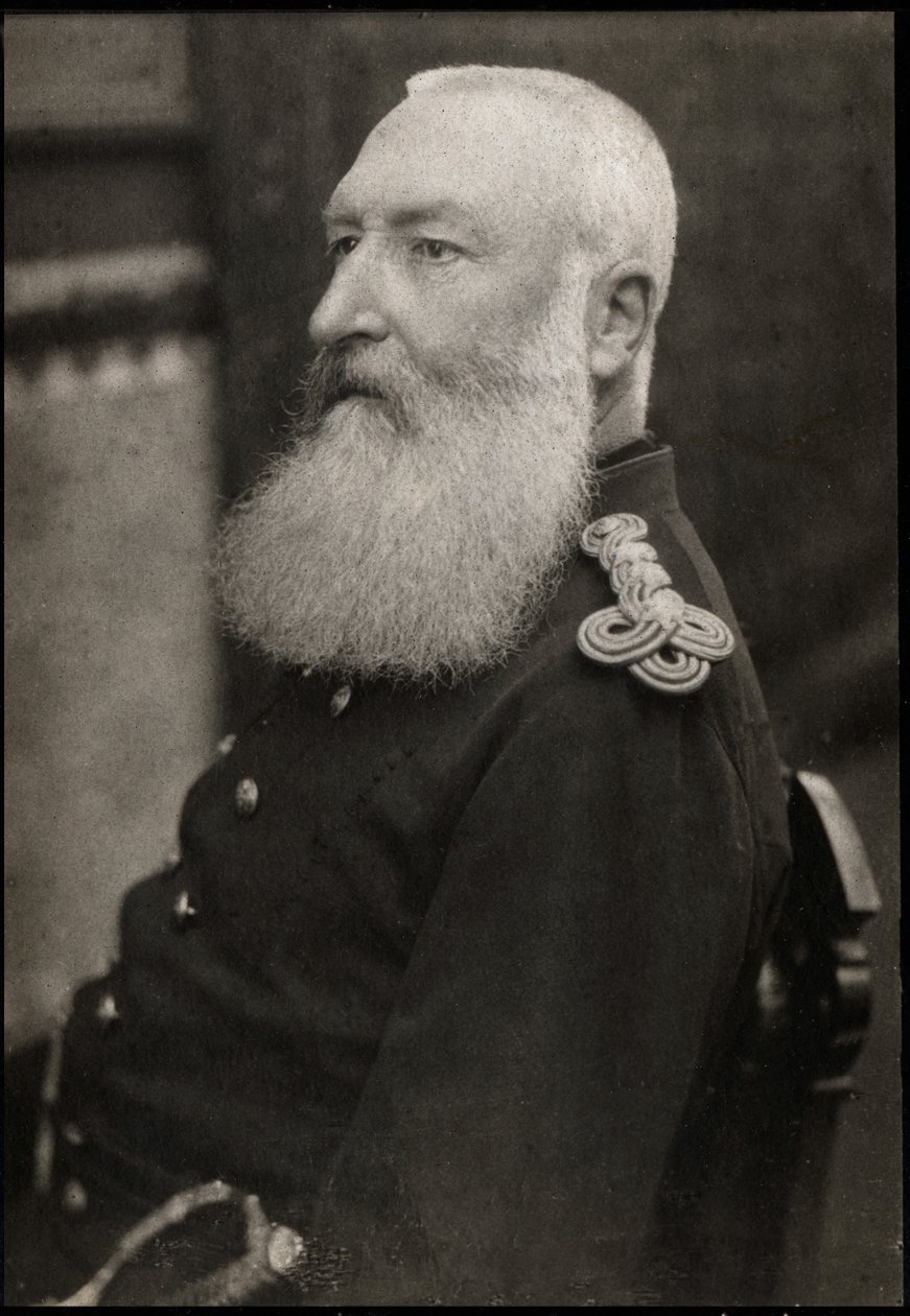 Portrait of Leopold II, King of Belgium