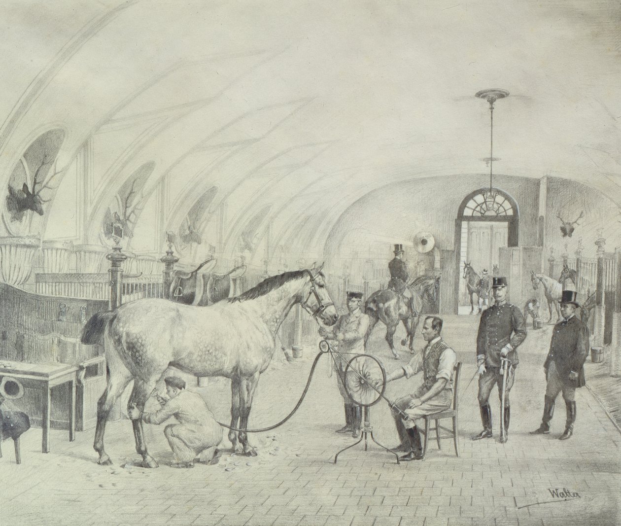 The Royal Stables: morning grooming by Adele Walter