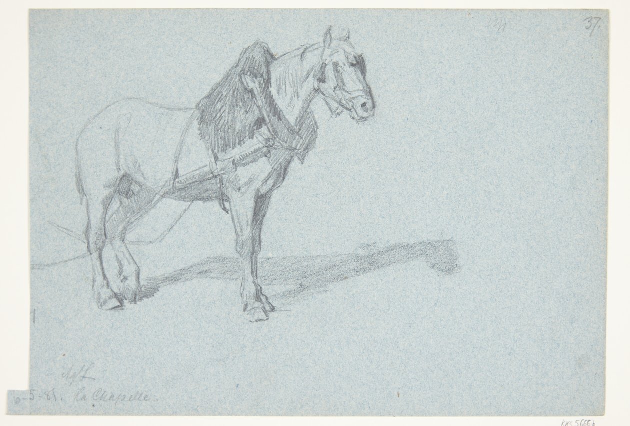 A Horse by Agnes Lunn: Highest-quality art reproduction