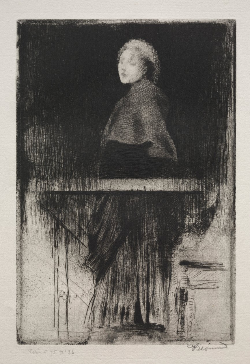 Woman with a cape, 1889 by Paul Albert Besnard