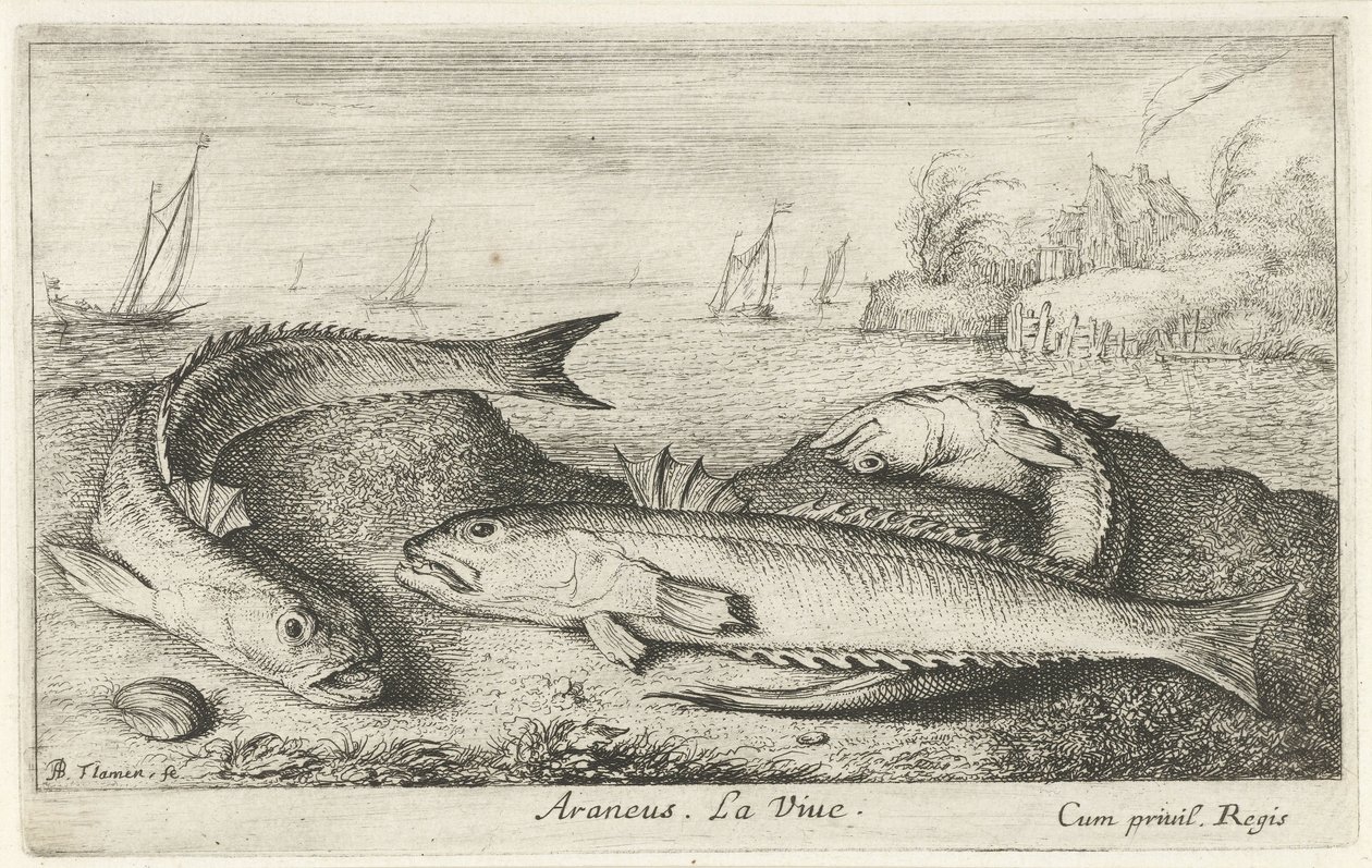 Three Spotted Weever Fish on the Beach by Albert Flamen