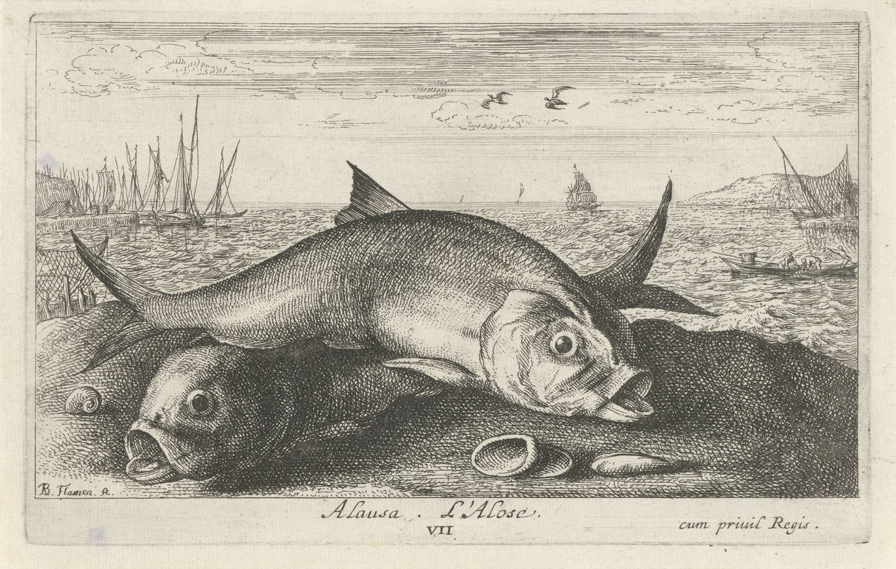 Two Shad on the Beach by Albert Flamen: Buy fine art print