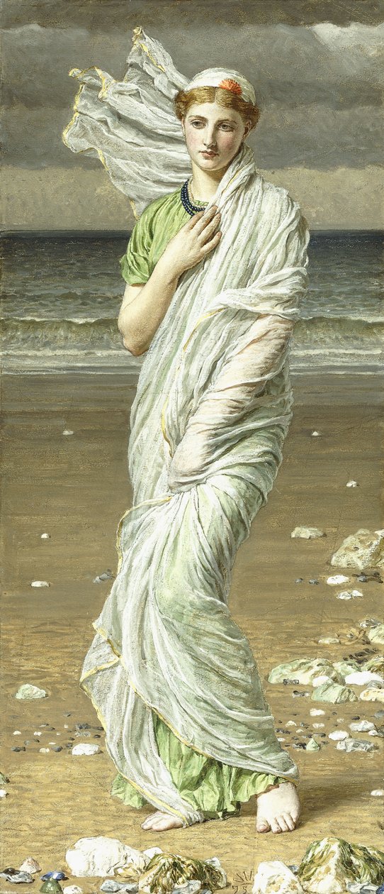 Sea Shells by Albert Joseph Moore: Buy fine art print