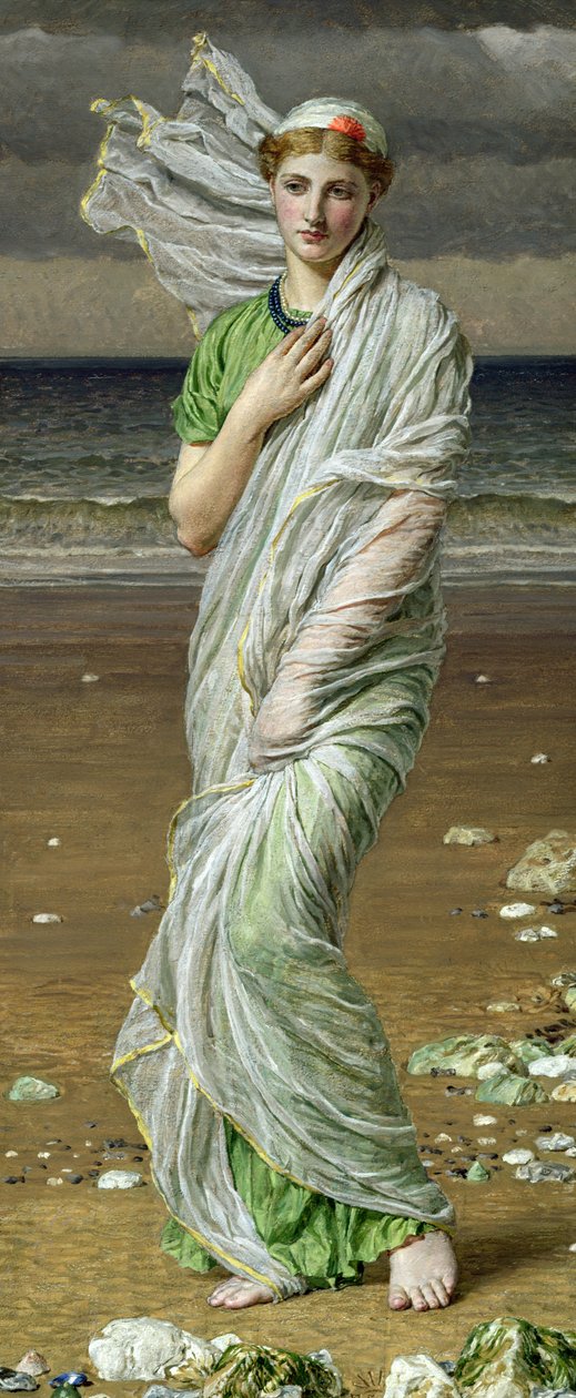 Seashells by Albert Joseph Moore: Buy fine art print