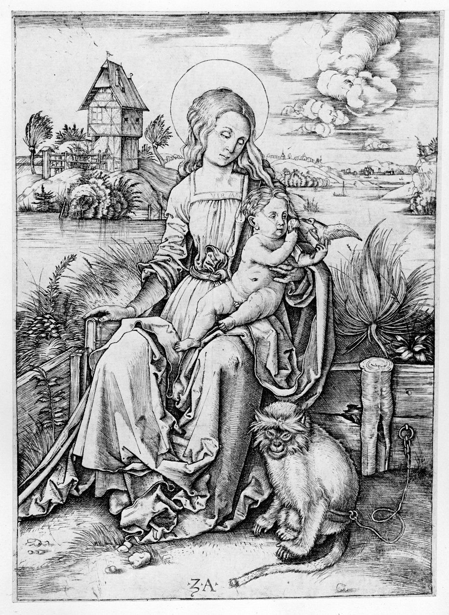 Madonna with the Monkey by Albrecht Dürer: Fine art print