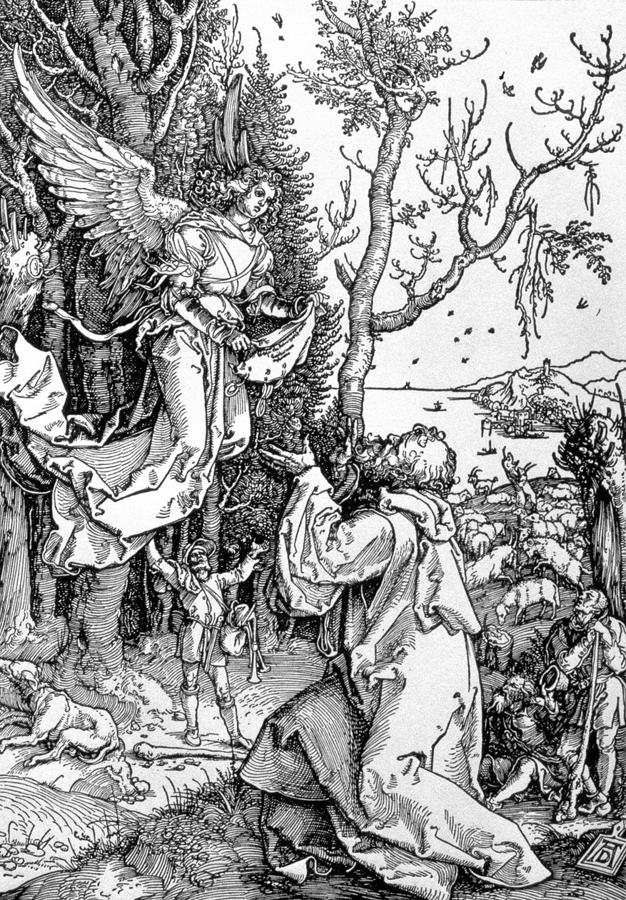 Joachim and the Angel from the 'Life of the Virgin' series, pub. 1511