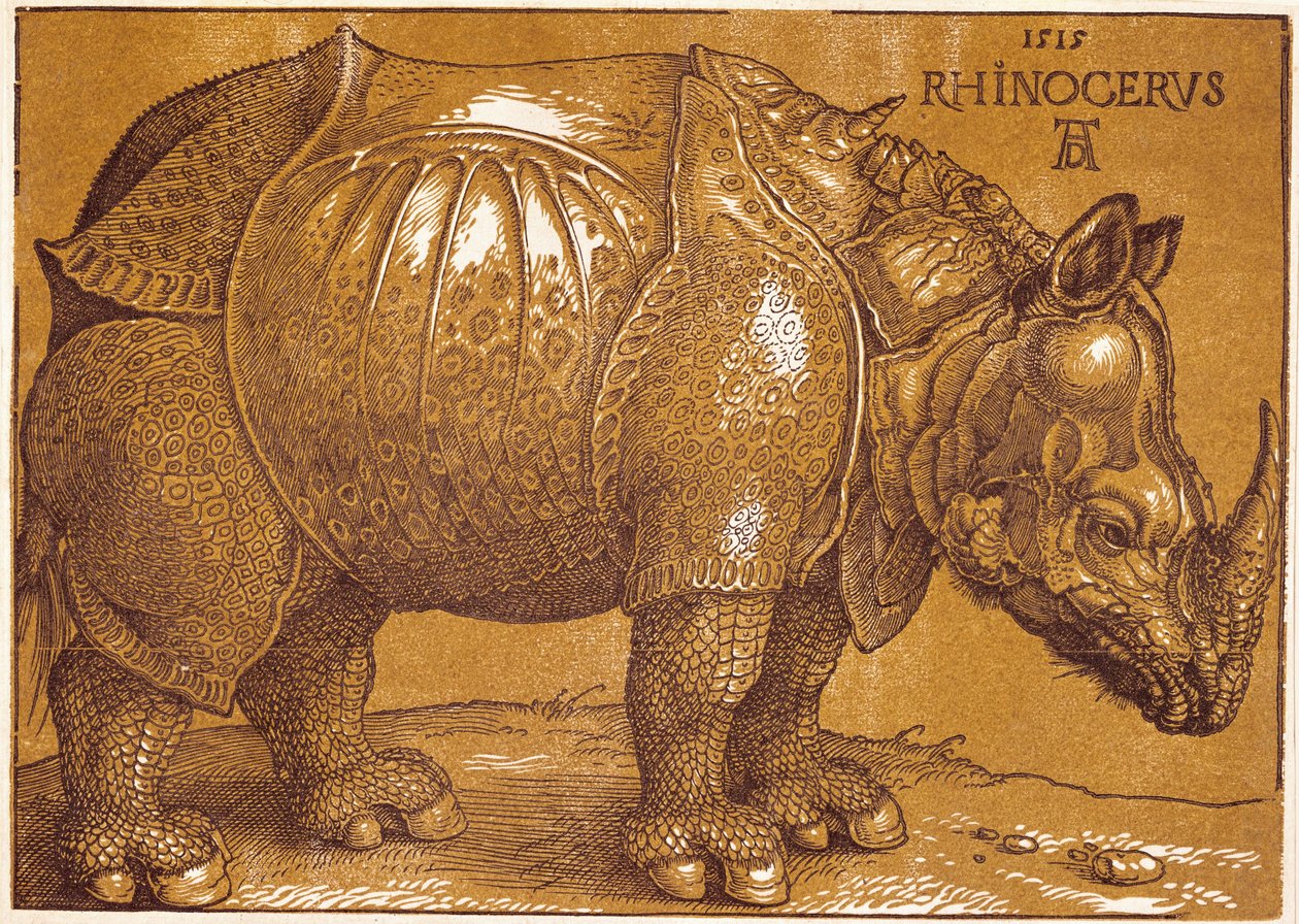 The Rhinoceros by Albrecht Dürer or Duerer