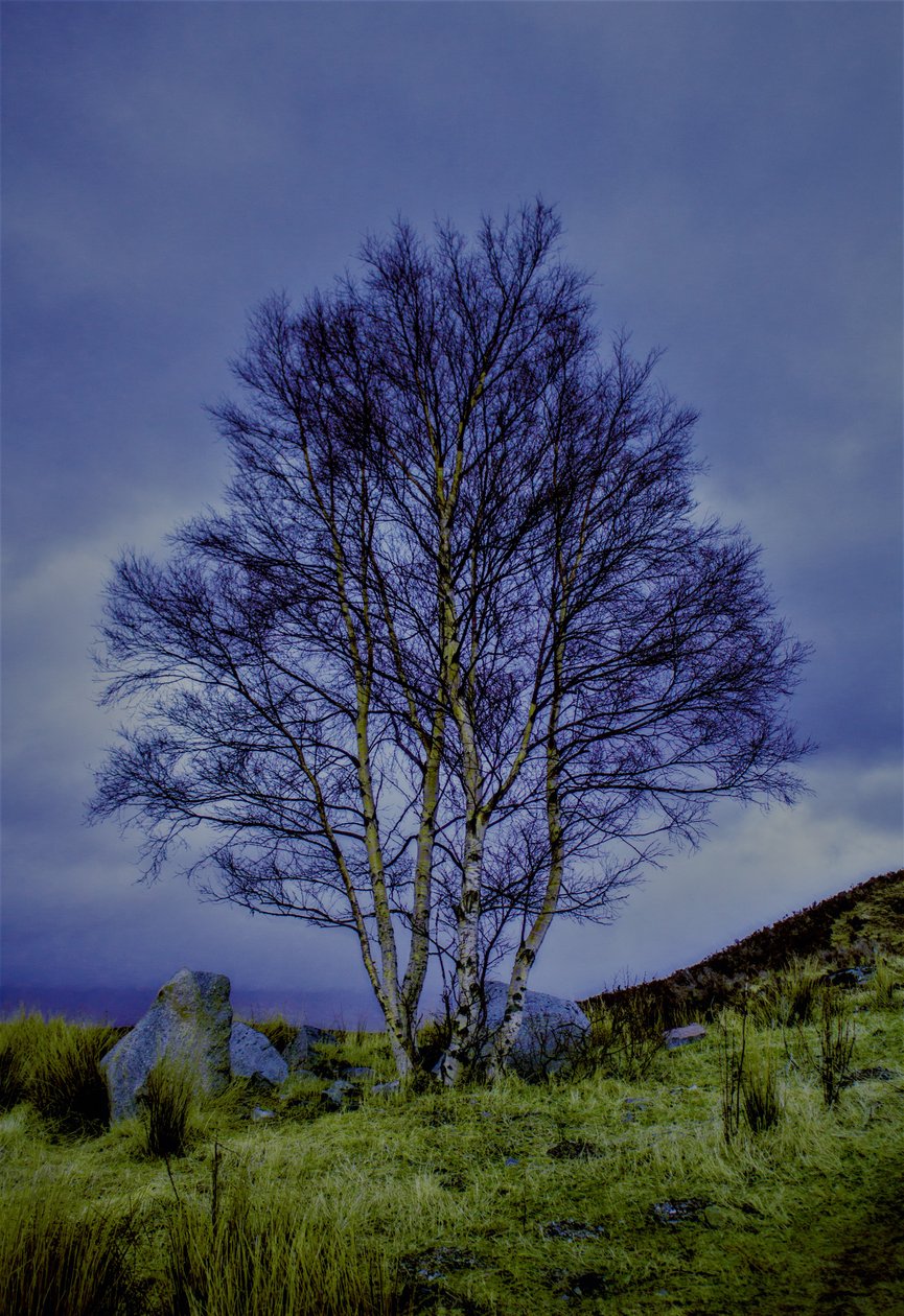 Two-Colours Landscape by Alex Caminker: Buy fine art print