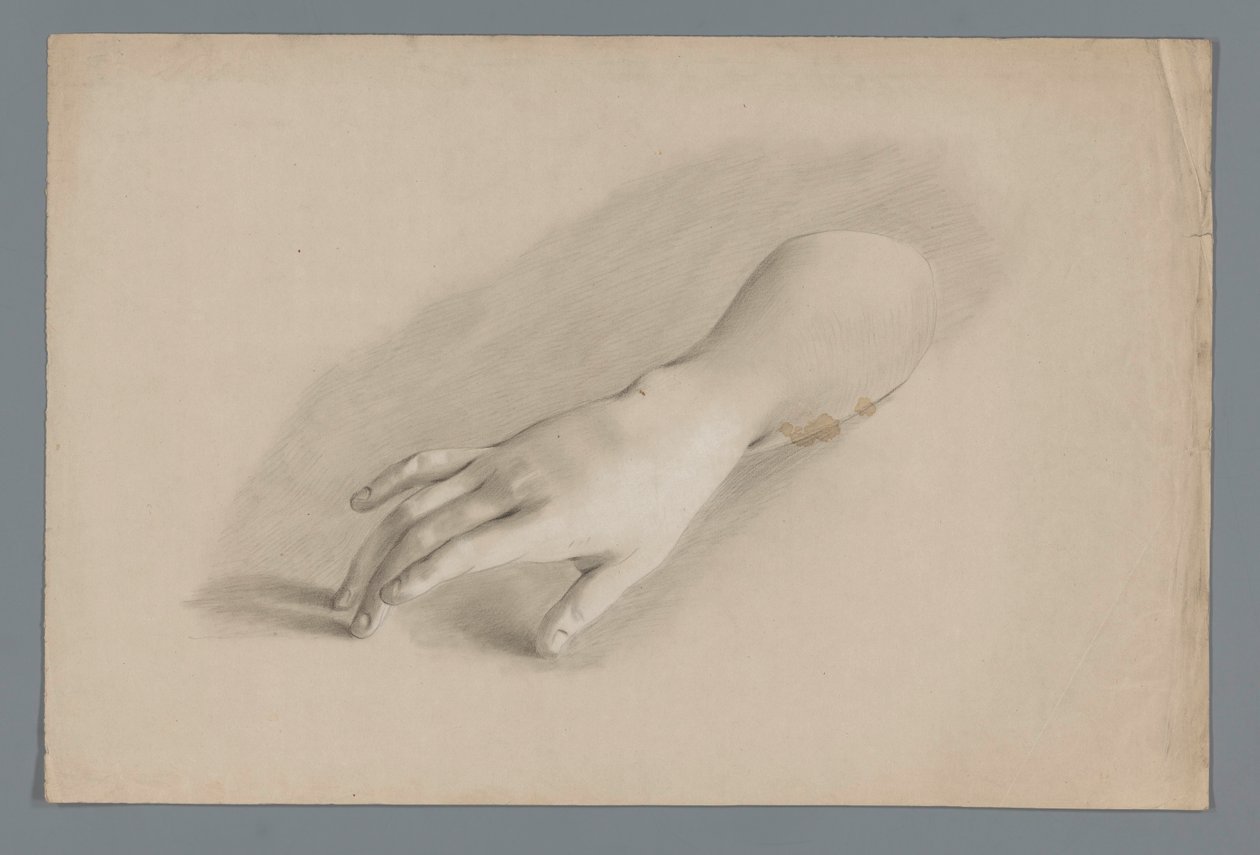 Plaster Model of a Hand by Alexander Cranendoncq