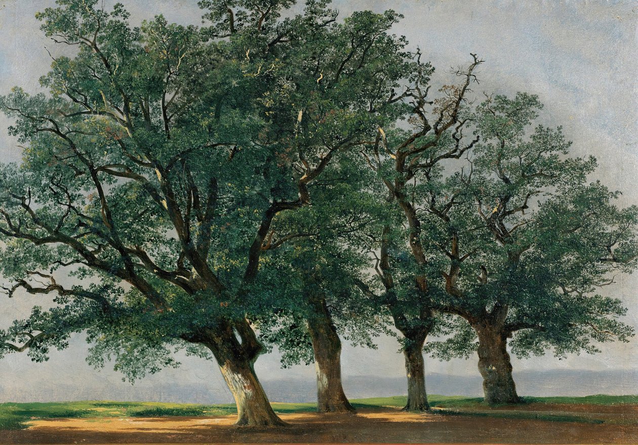 Four Large Trees by Alexandre Calame: Buy fine art print