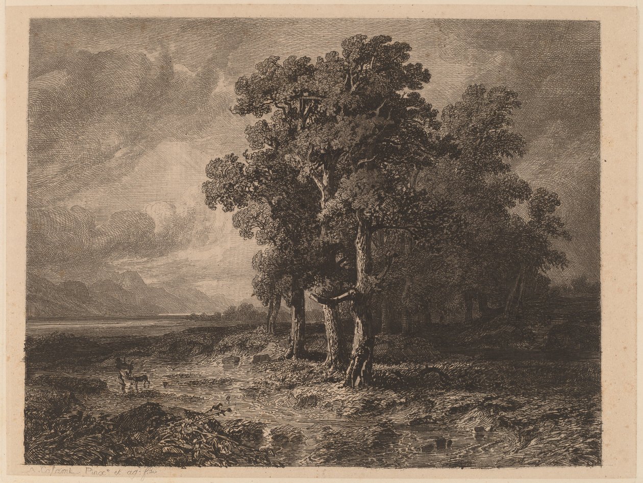 Trees in a Storm by Alexandre Calame: Buy fine art print