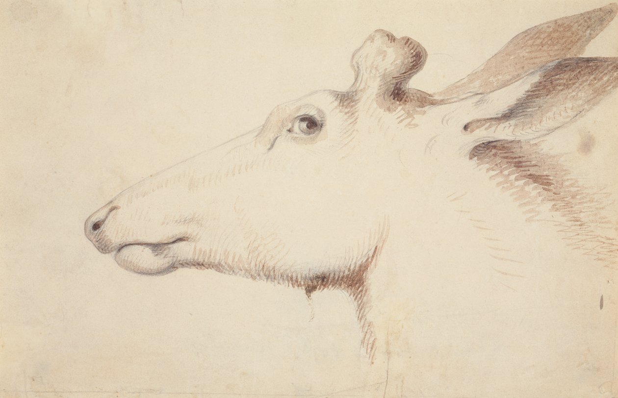 Elk, c.1837 by Alfred Jacob Miller: Buy fine art print