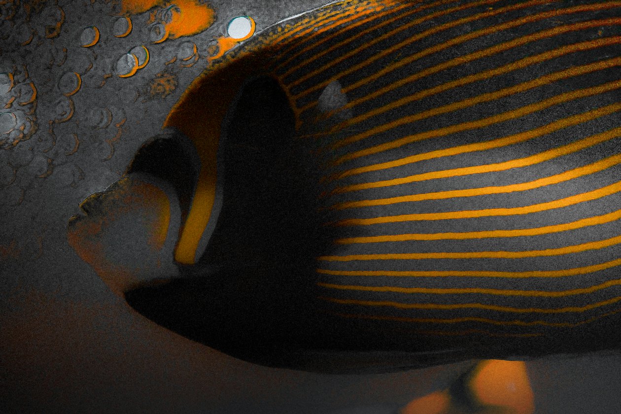 Bubbles and Stripes, 2018 by Alice Gur-Arie: Fine art print