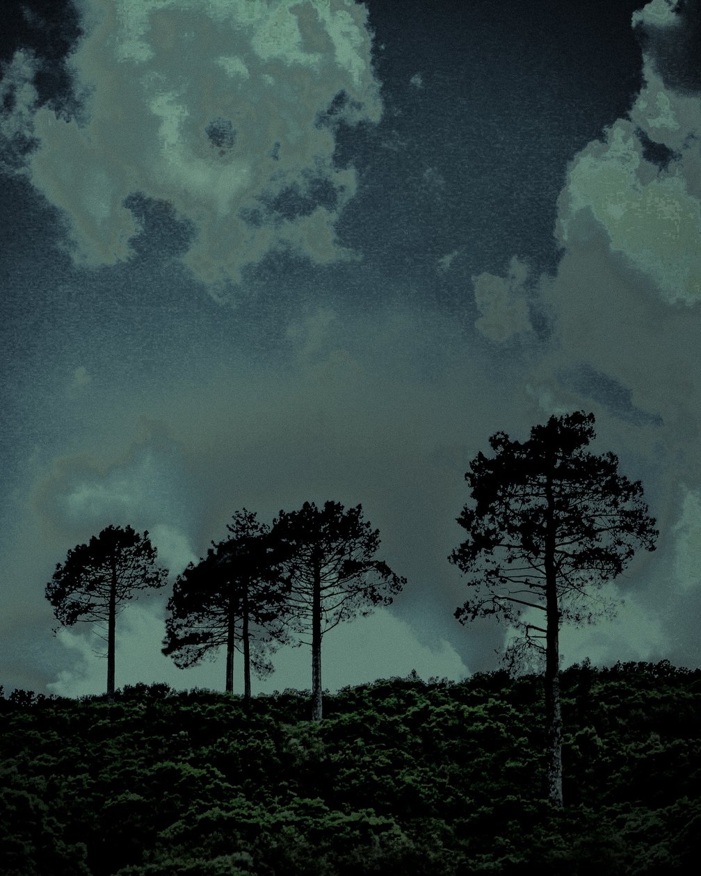 Last Light, 2018 by Alice Gur-Arie: Buy fine art print