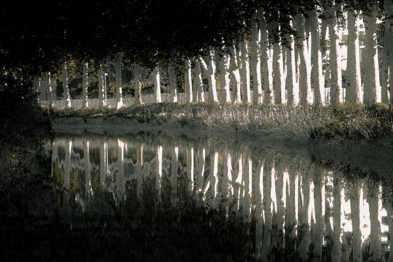 Rendering, 2018 by Alice Gur Arie: Buy fine art print