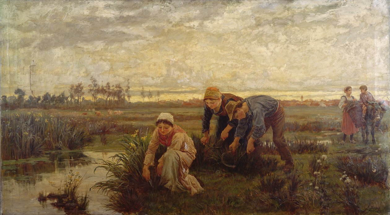 Rush Cutters by Alice Havers: Buy fine art print