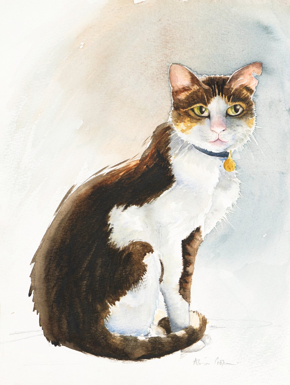 Dave the Saudi Cat by Alison Cooper: Buy fine art print