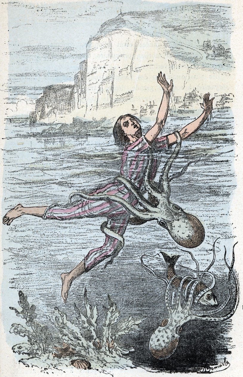 Zoological Board: Cephalopod Mollusk, Bather Seized by a Large Octopus ...