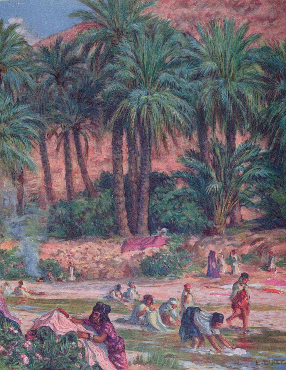 Palm Trees. The palm was blessed by the Prophet Mohammed in the Quran ...