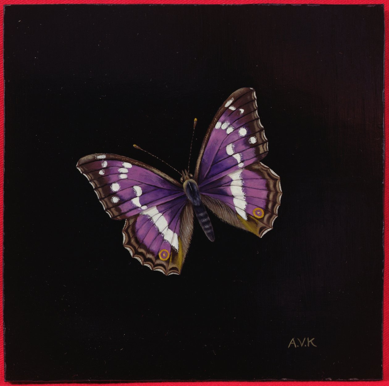 Purple Emperor Butterfly by Amelia Kleiser: Fine art print