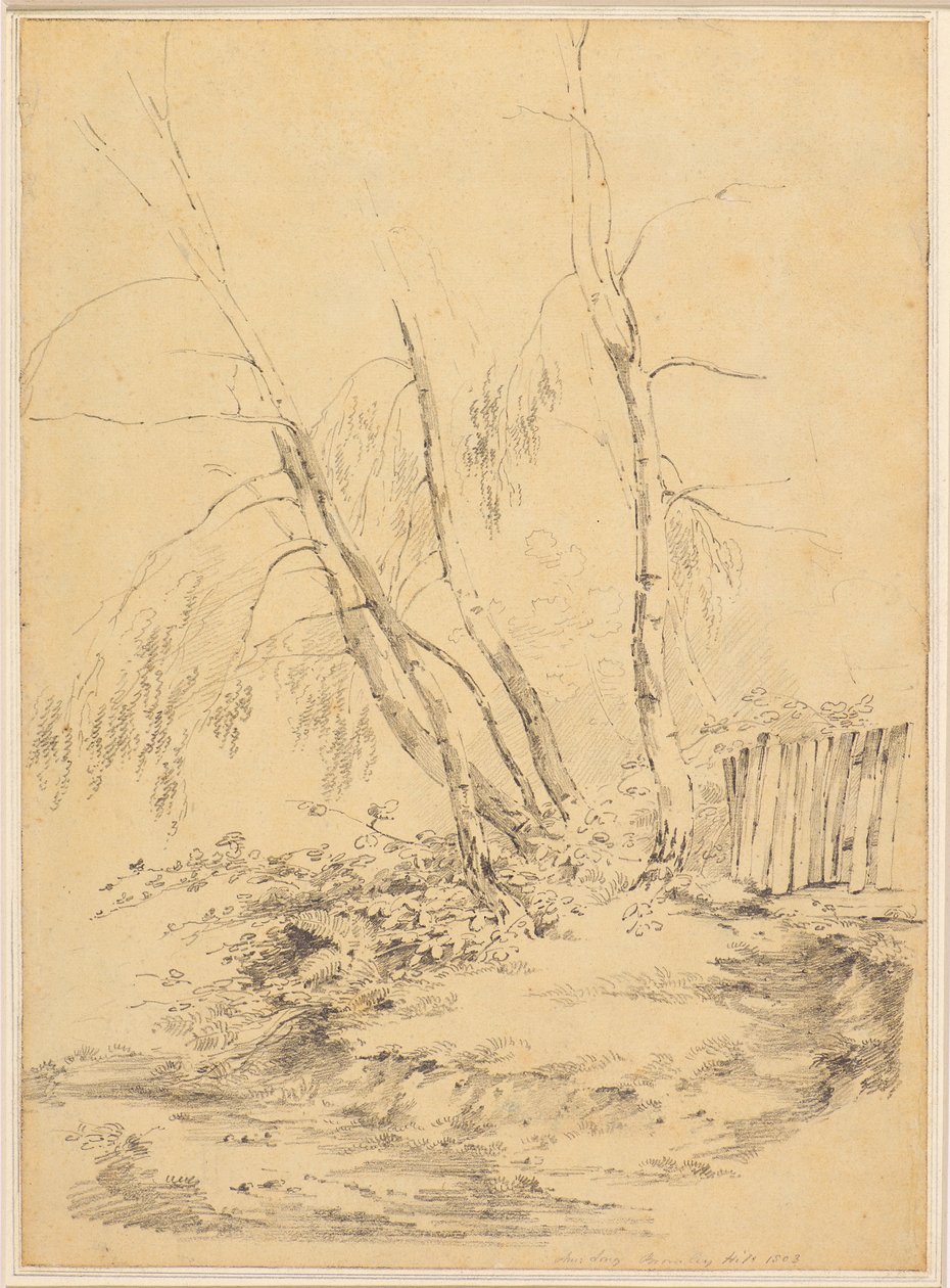 Bromley Hill by Amelia Long: High-quality fine art print