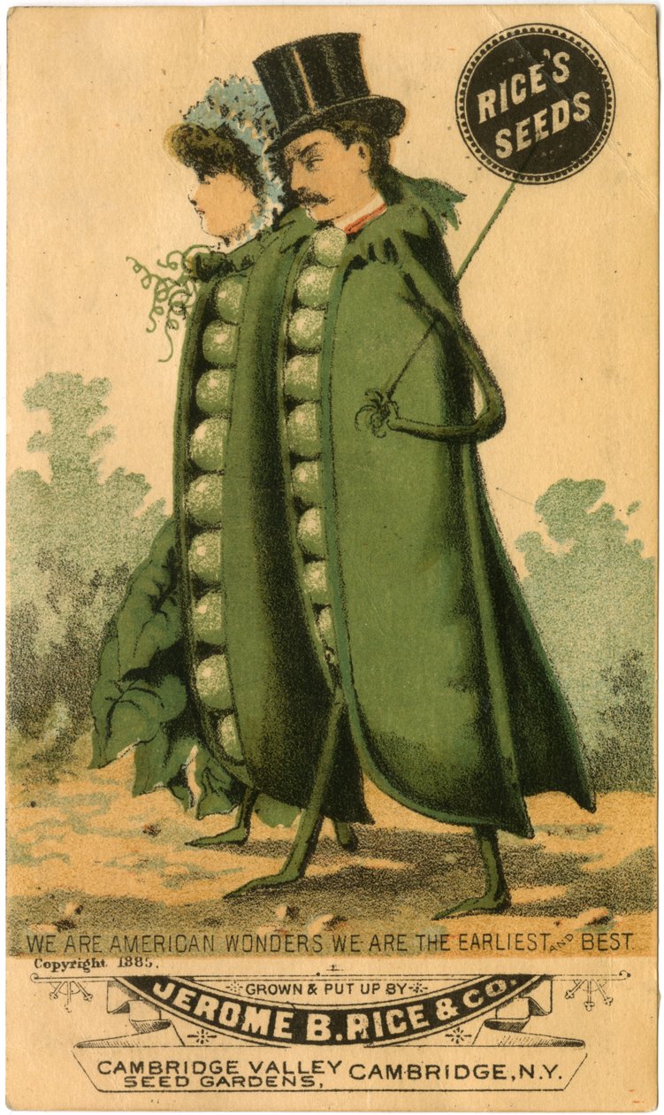 Advertisement for Rice's Seeds by American School