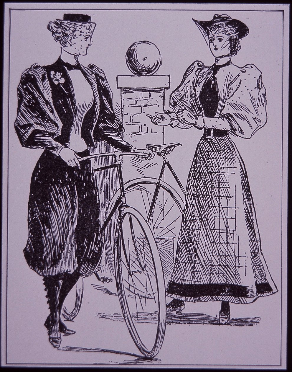Female Cycling Costume, Showing Girl in Bloomers, New York, USA