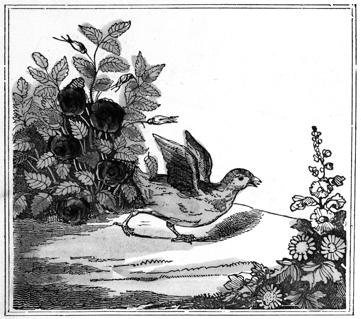 Illustration from the Remarkable Story of Chicken Little, 1840