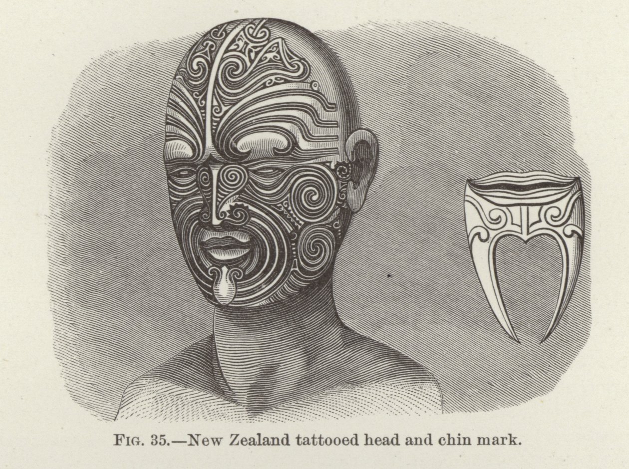 New Zealand Tattooed Head and Chin Mark by American School