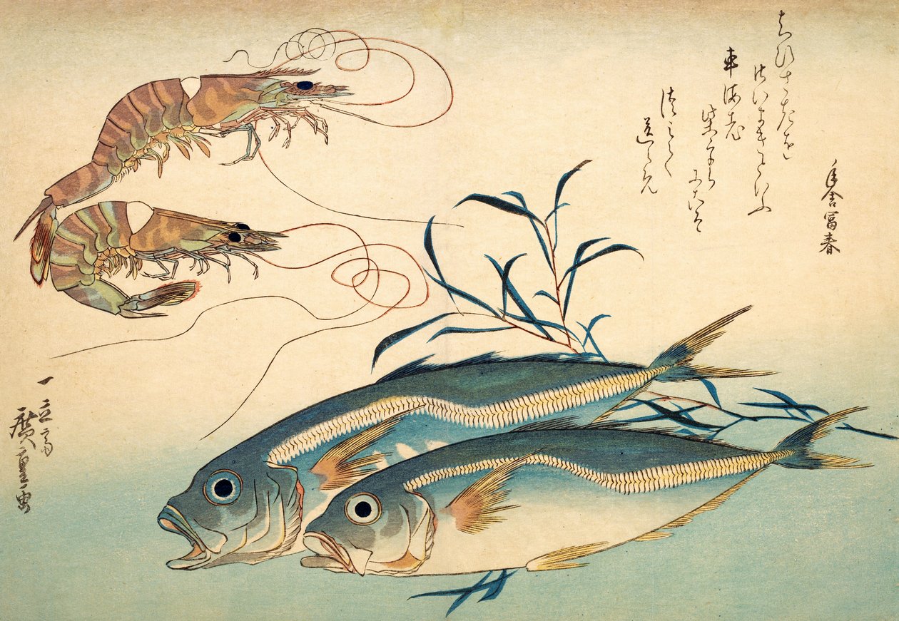 Japanese Jack Mackerel Shio Yaki. Pure Fish. | GOURMANDE In OSAKA