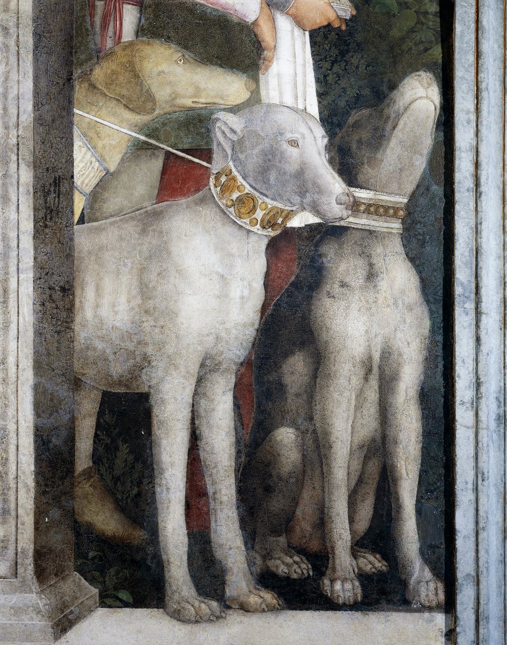 Molossian Dogs (detail) by Andrea Mantegna: Fine art print