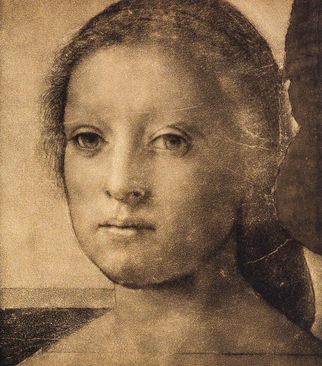 Head of a Young Woman, Drawing by Andrea del Sarto