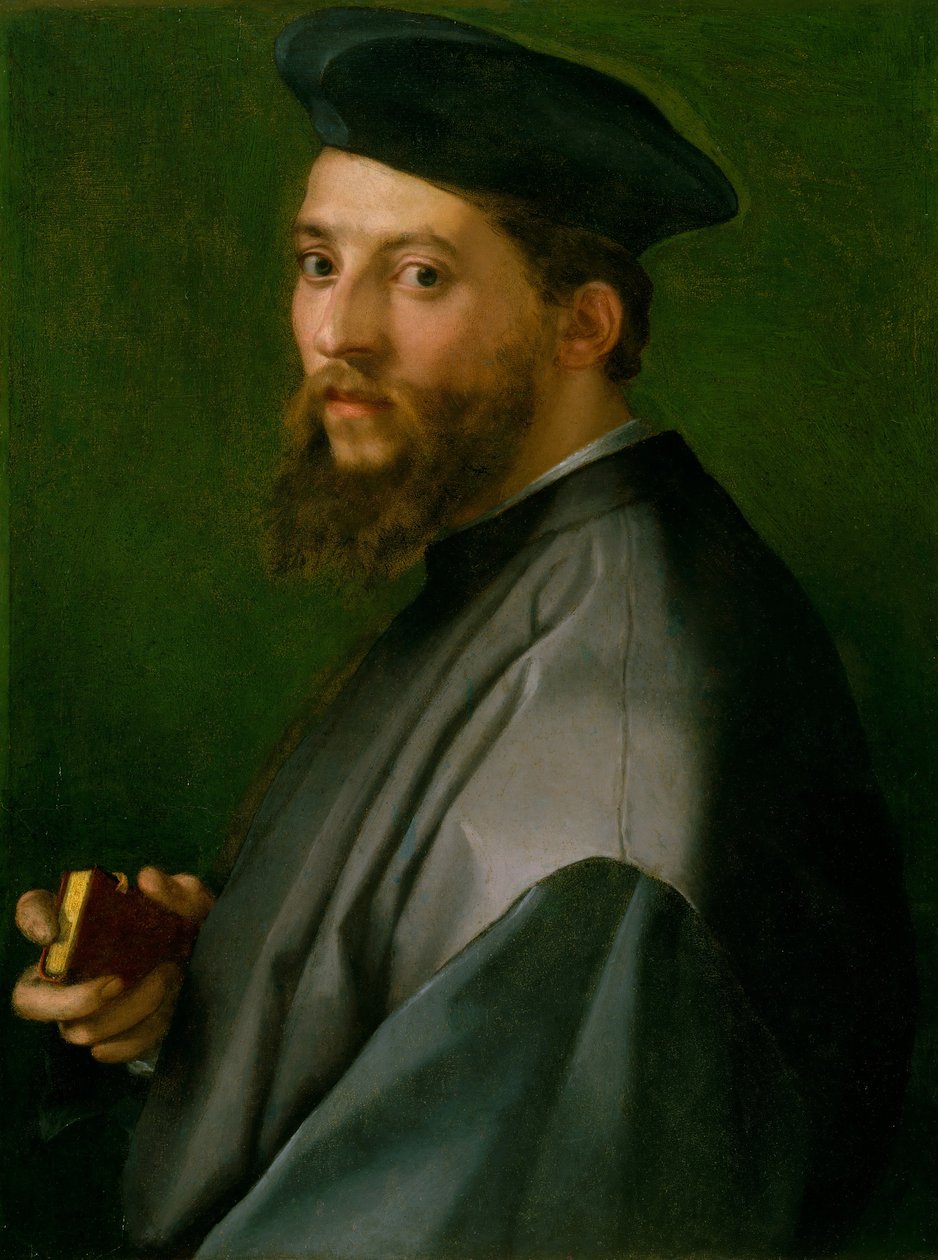 Portrait of a Man by Andrea del Sarto: Buy fine art print