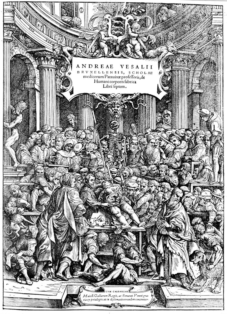 Title page of Andreas Vesalius De Humani Corporis Fabrica, showing ...